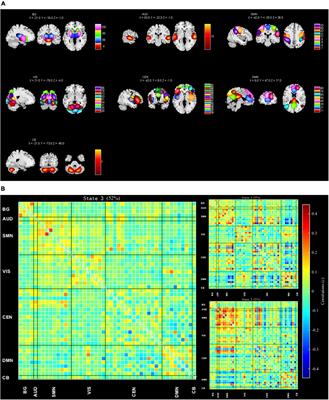 Frontiers | Dynamic connectivity patterns of resting-state brain functional networks in healthy ...